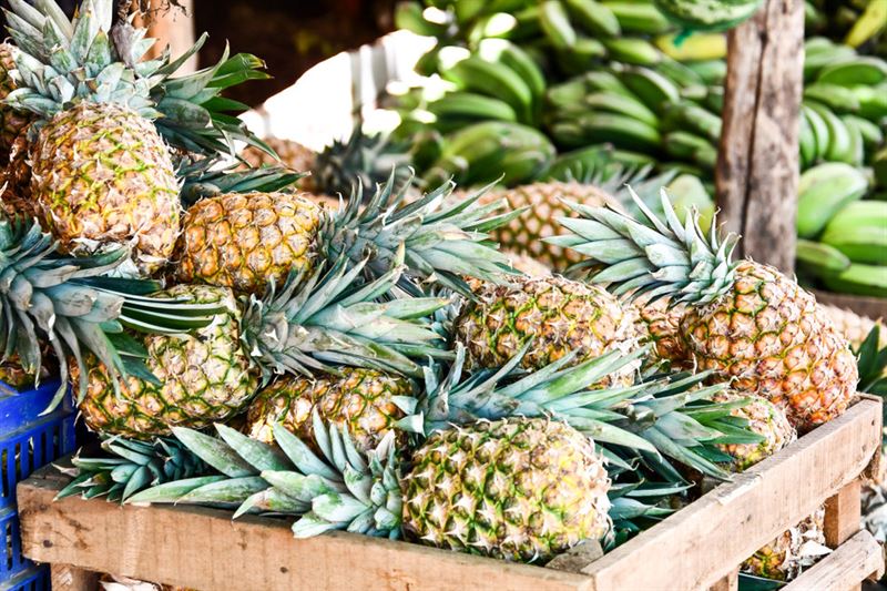 Pineapple Fruit - Lima Seed Viet Nam
